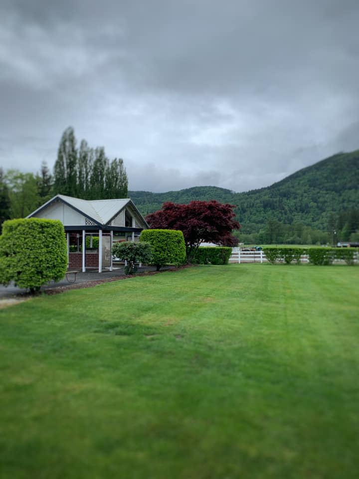 Spring at the Ranch – Black Mountain Ranch Campground