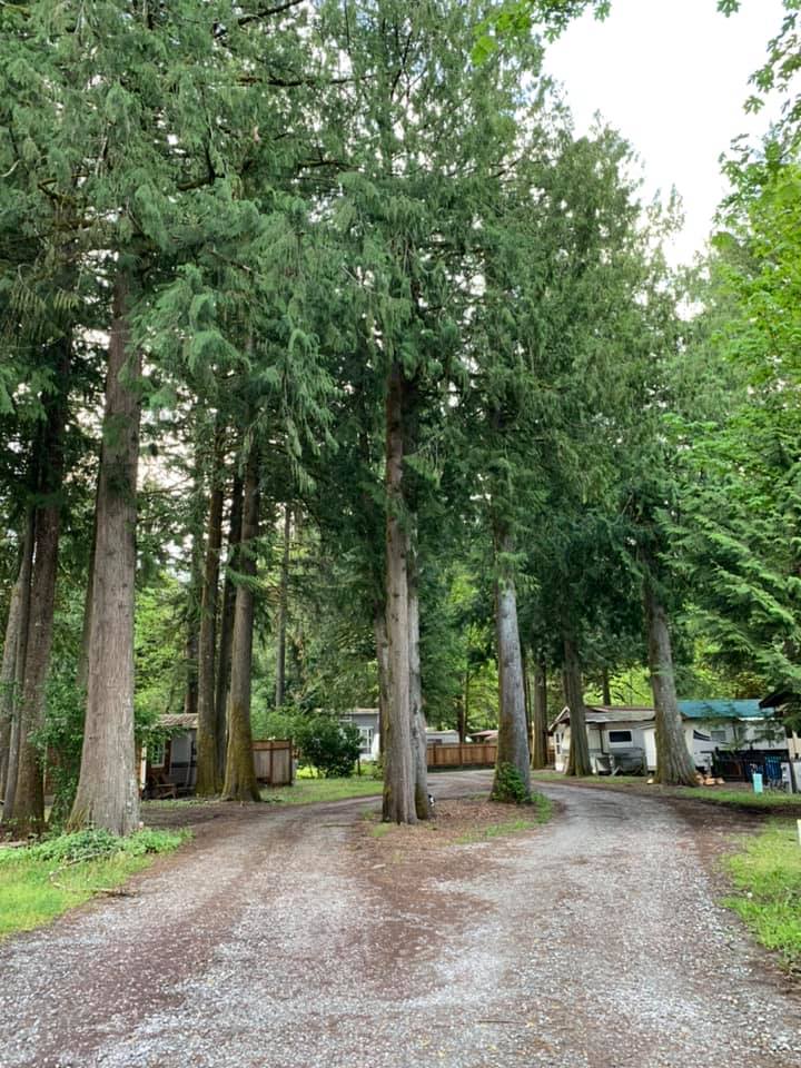 Spring at the Ranch – Black Mountain Ranch Campground