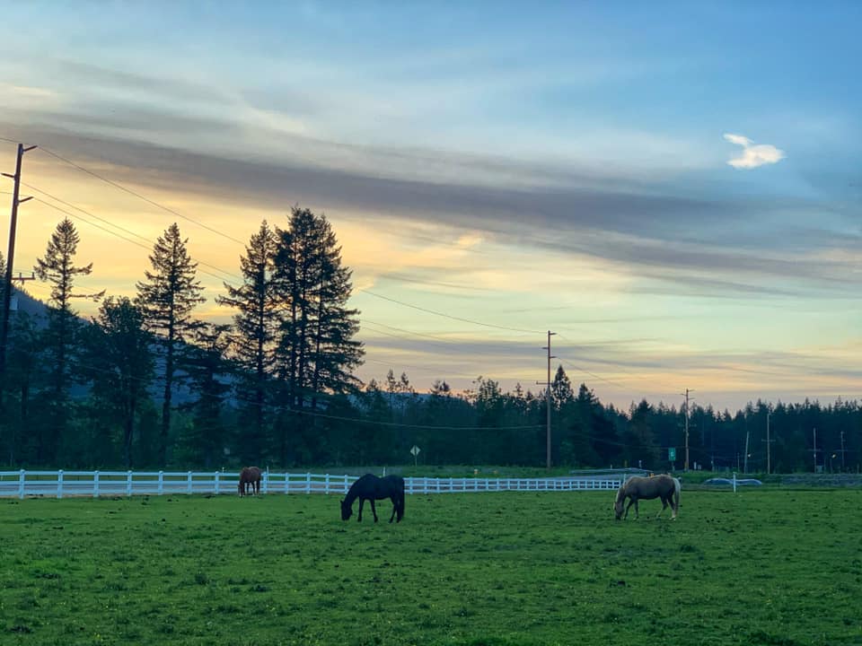 Spring at the Ranch – Black Mountain Ranch Campground