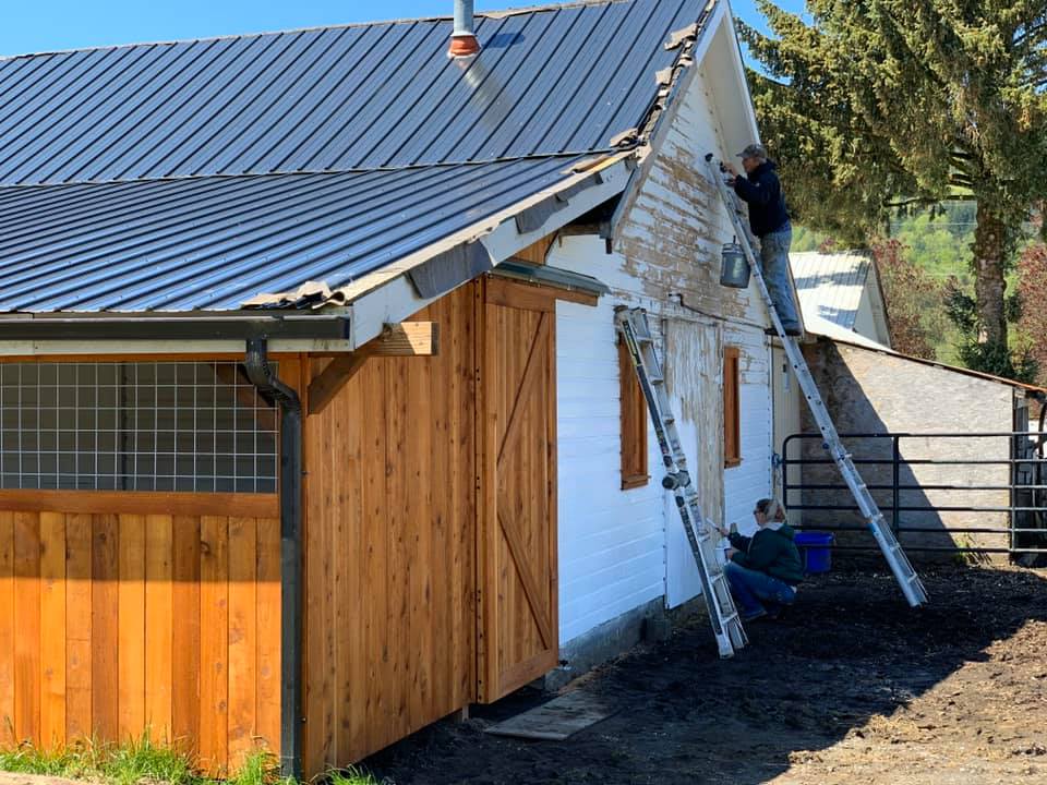 Spring at the Ranch – Black Mountain Ranch Campground