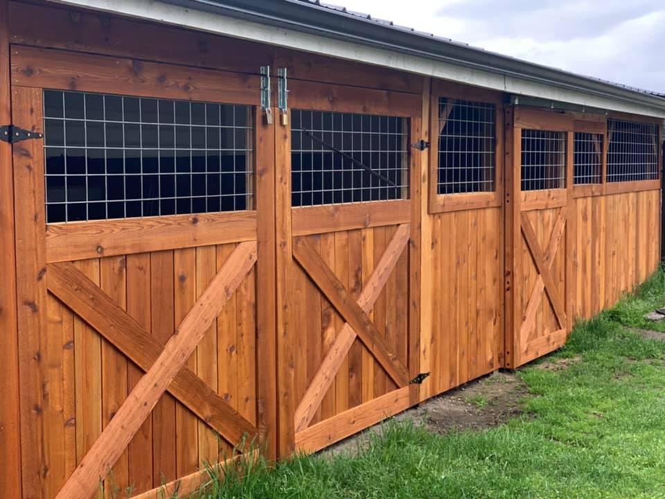 Spring at the Ranch – Black Mountain Ranch Campground