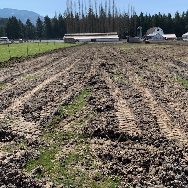 News – Black Mountain Ranch Campground